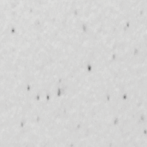 Hadrian - 20118 - 18"x48" - Plastic Urinal Screen ,Includes - 520559